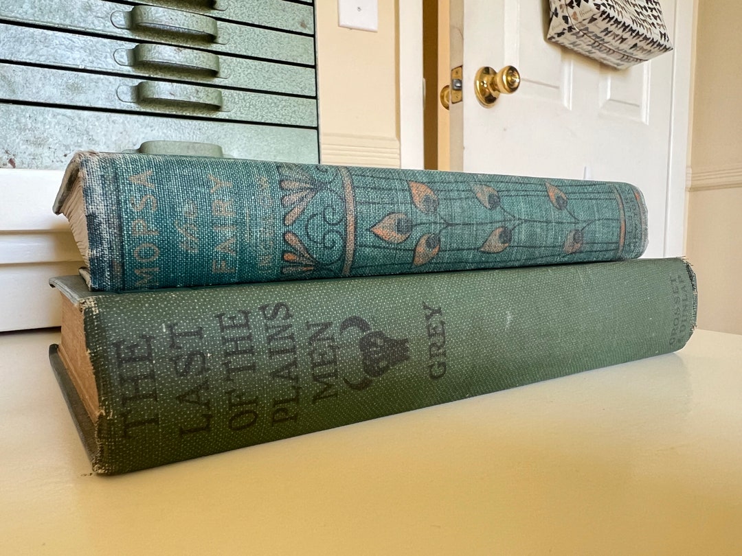 Vintage Green Blue Books Coffee Table Display Books the Last of the ...
