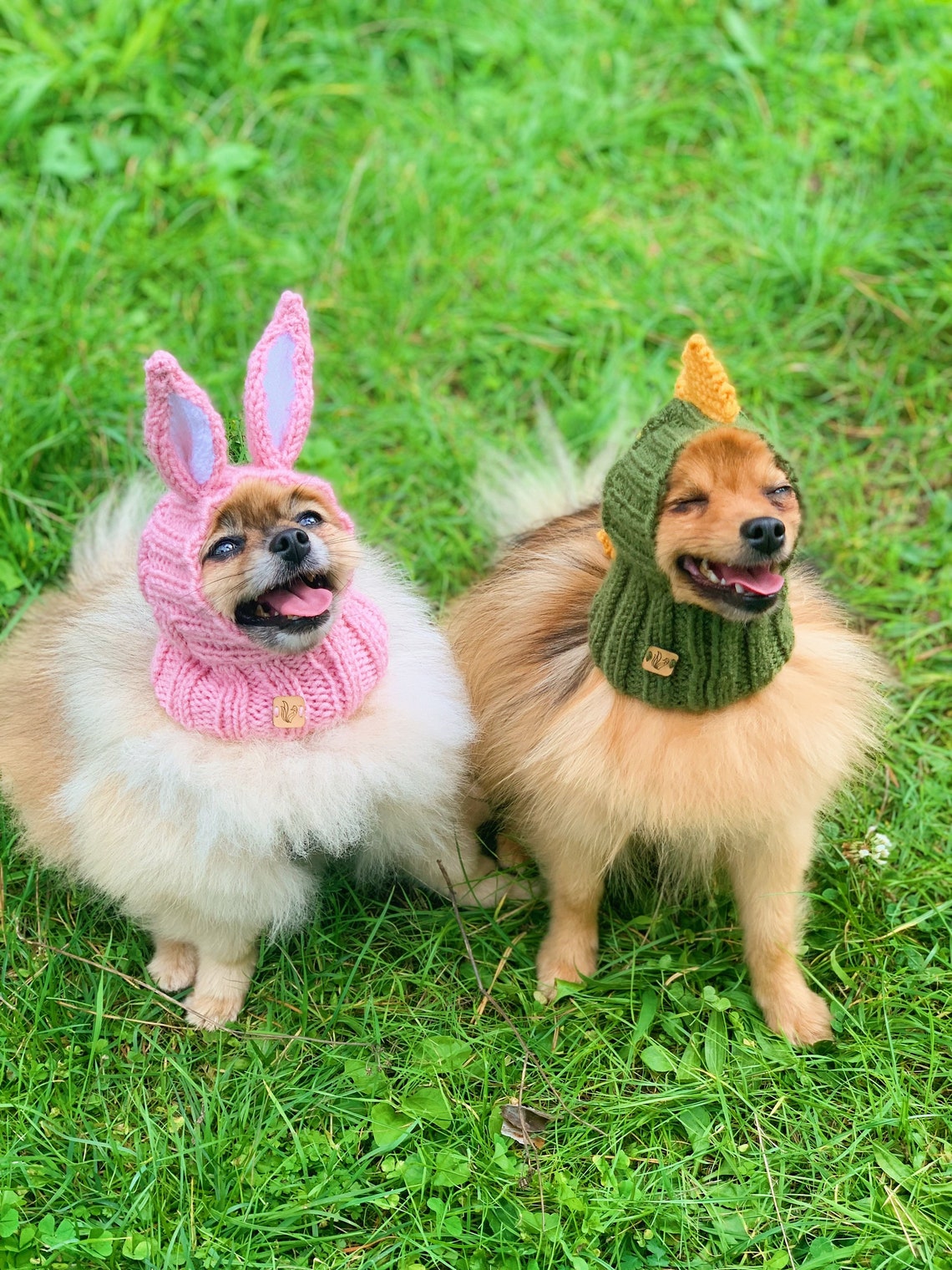 Bunny Dog Hat, Rabbit Dog Snood, Rabbit Ears Dog Hat, Rabbit Dog Beanie ...