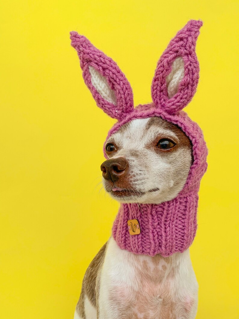 Bunny Dog Hat, Rabbit Dog Snood, Rabbit Ears Dog Hat, Rabbit Dog Beanie ...