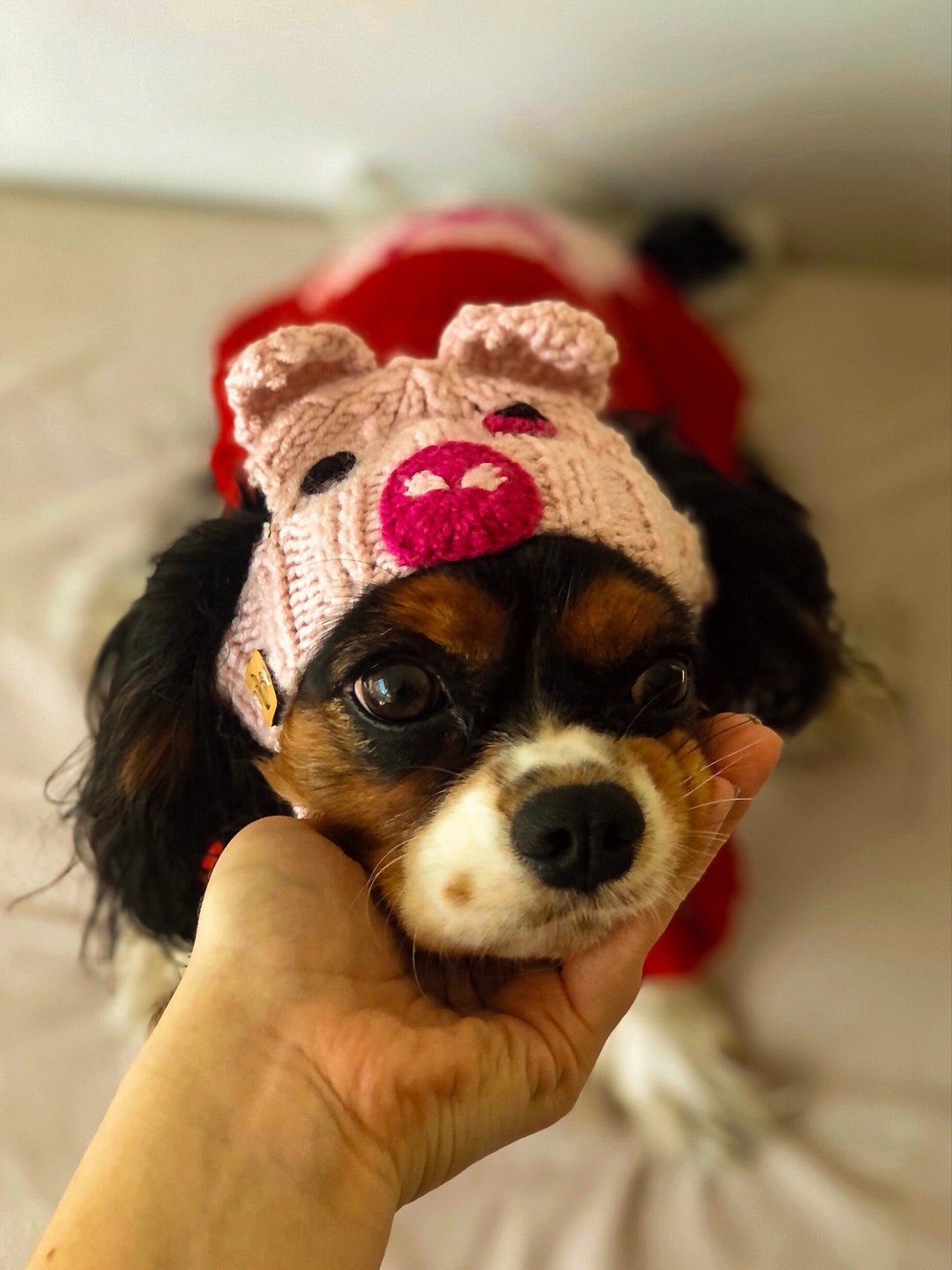 Pig Dog Beanie, Piglet Dog Hat, Pet Hat With Ear Holes, Waddles Pet Hat ...