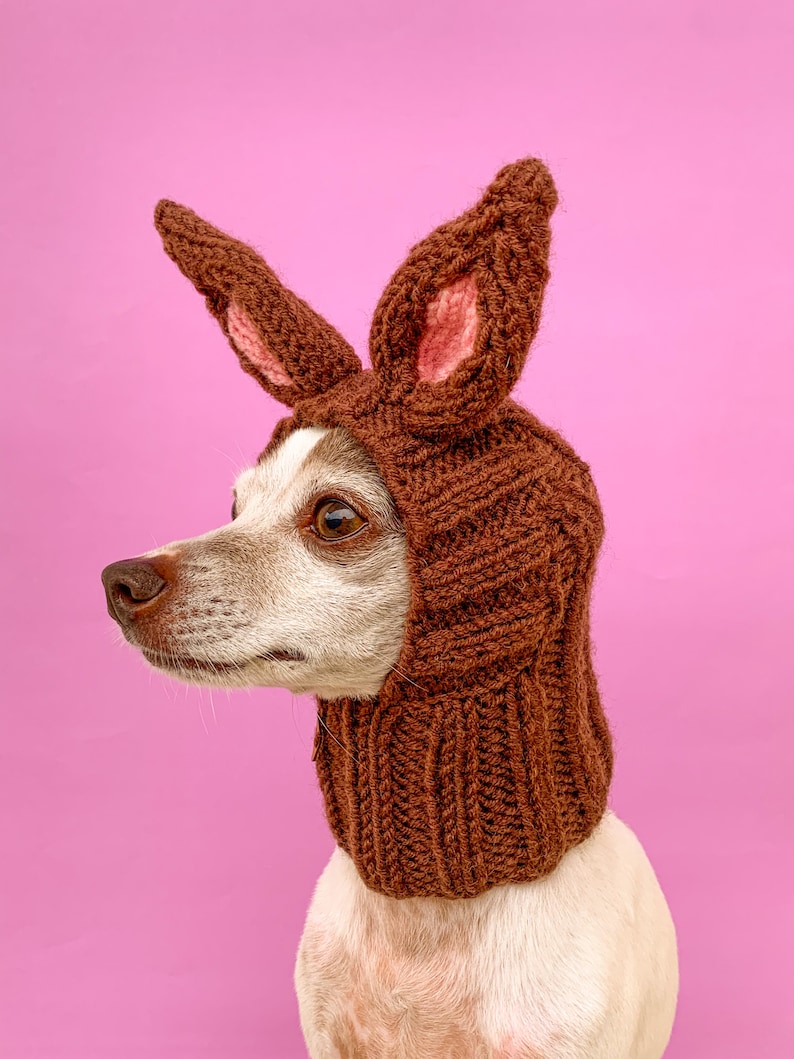 Bunny Dog Hat, Rabbit Dog Snood, Rabbit Ears Dog Hat, Rabbit Dog Beanie ...