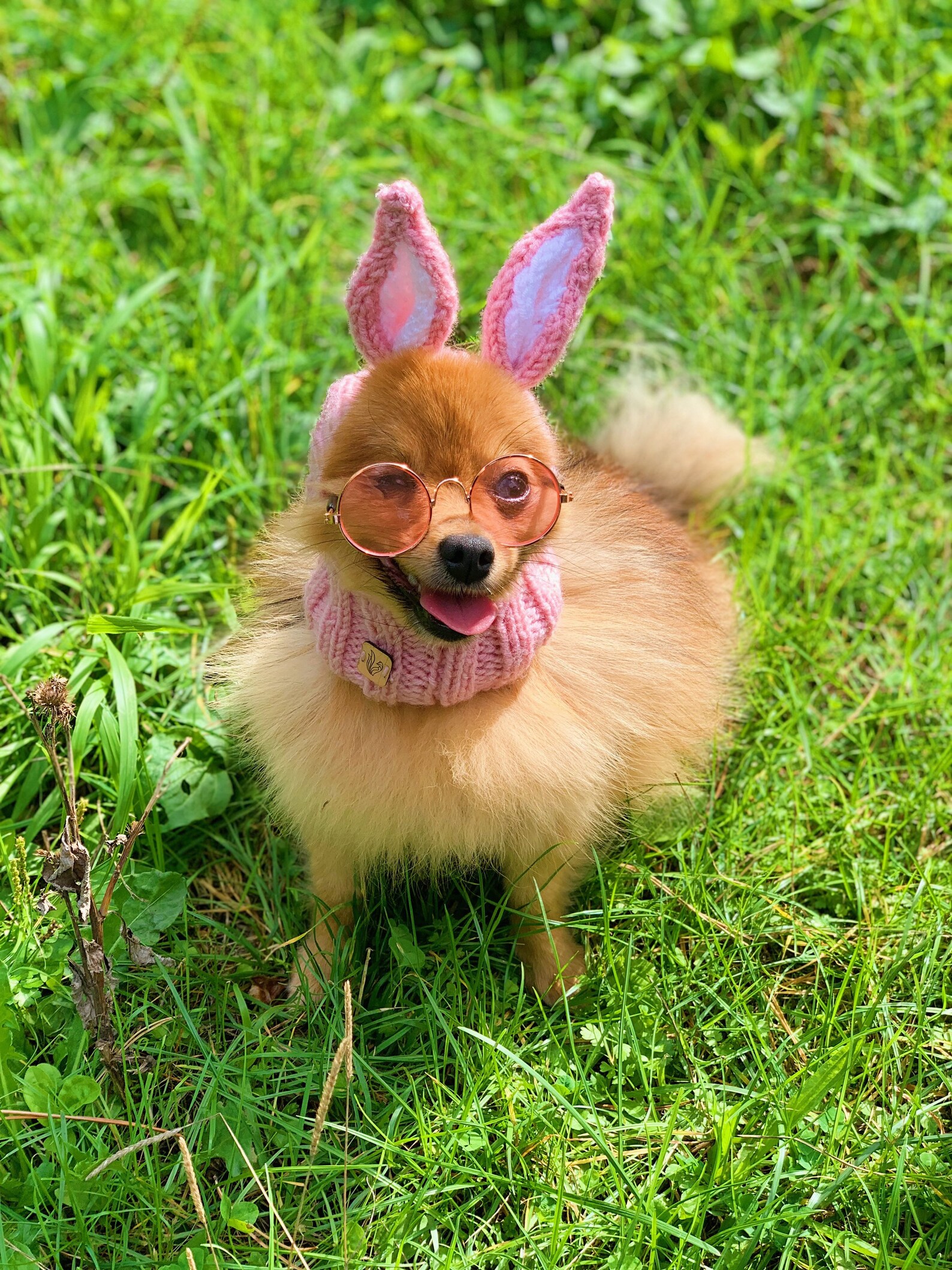 Bunny Dog Hat, Rabbit Dog Snood, Rabbit Ears Dog Hat, Rabbit Dog Beanie ...