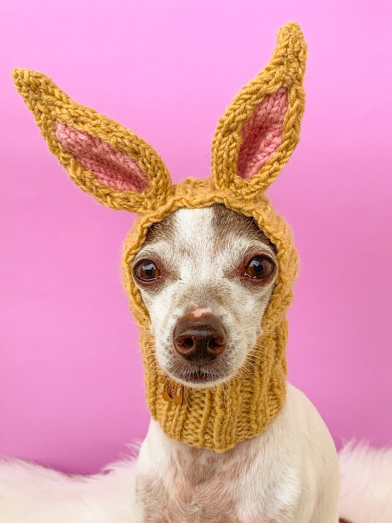 Bunny Dog Hat, Rabbit Dog Snood, Rabbit Ears Dog Hat, Rabbit Dog Beanie ...