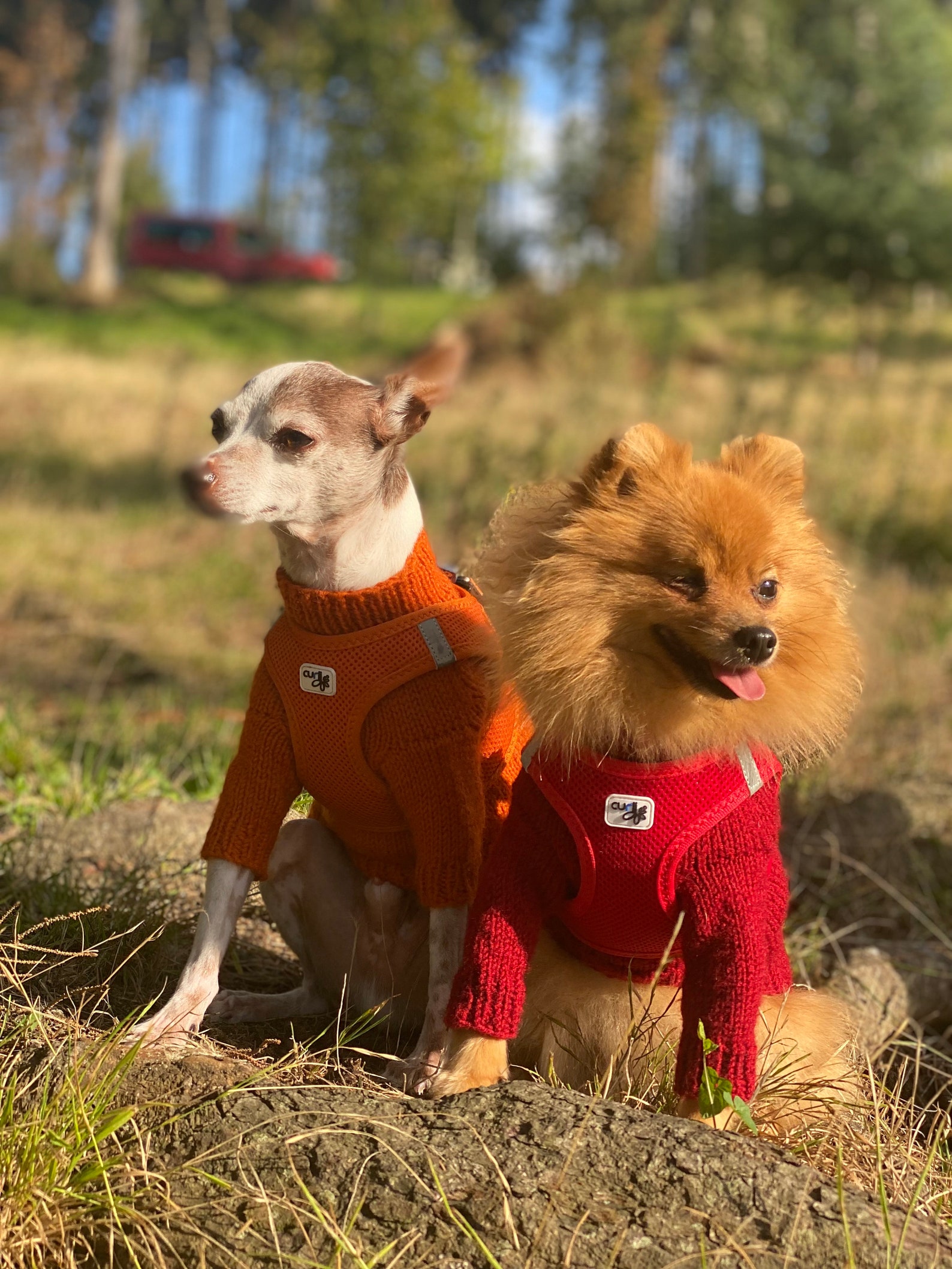 Thick Dog Sweater Classic Dog Sweater Warm Cat Sweater Hand - Etsy