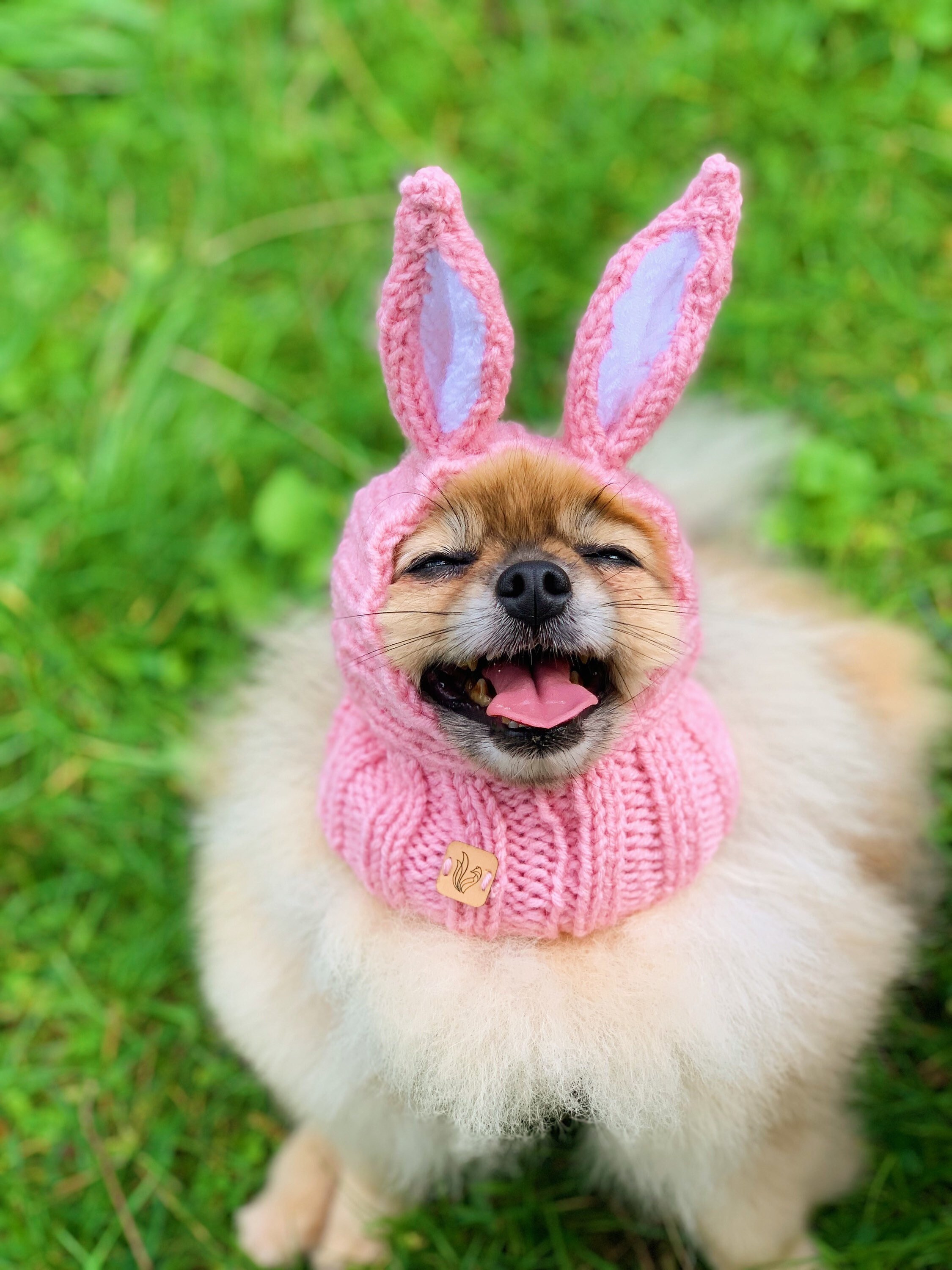 Bunny Dog Hat Rabbit Dog Snood Rabbit Ears Dog Hat Rabbit | Etsy