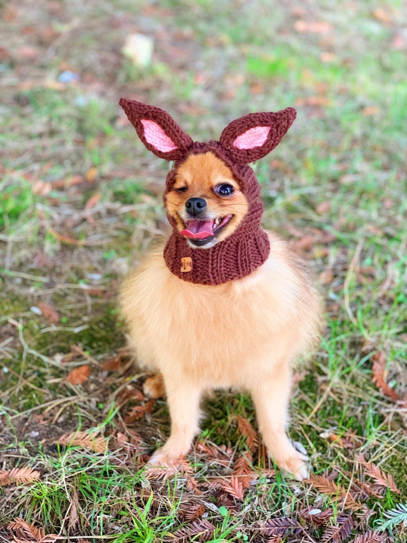 Bunny Dog Hat, Rabbit Dog Snood, Rabbit Ears Dog Hat, Rabbit Dog Beanie ...