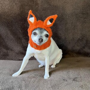 Devil Dog Snood, Dog Devil Horns, Halloween Pet Costume, Knit Dog ...
