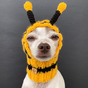 Devil Dog Snood, Dog Devil Horns, Halloween Pet Costume, Knit Dog ...