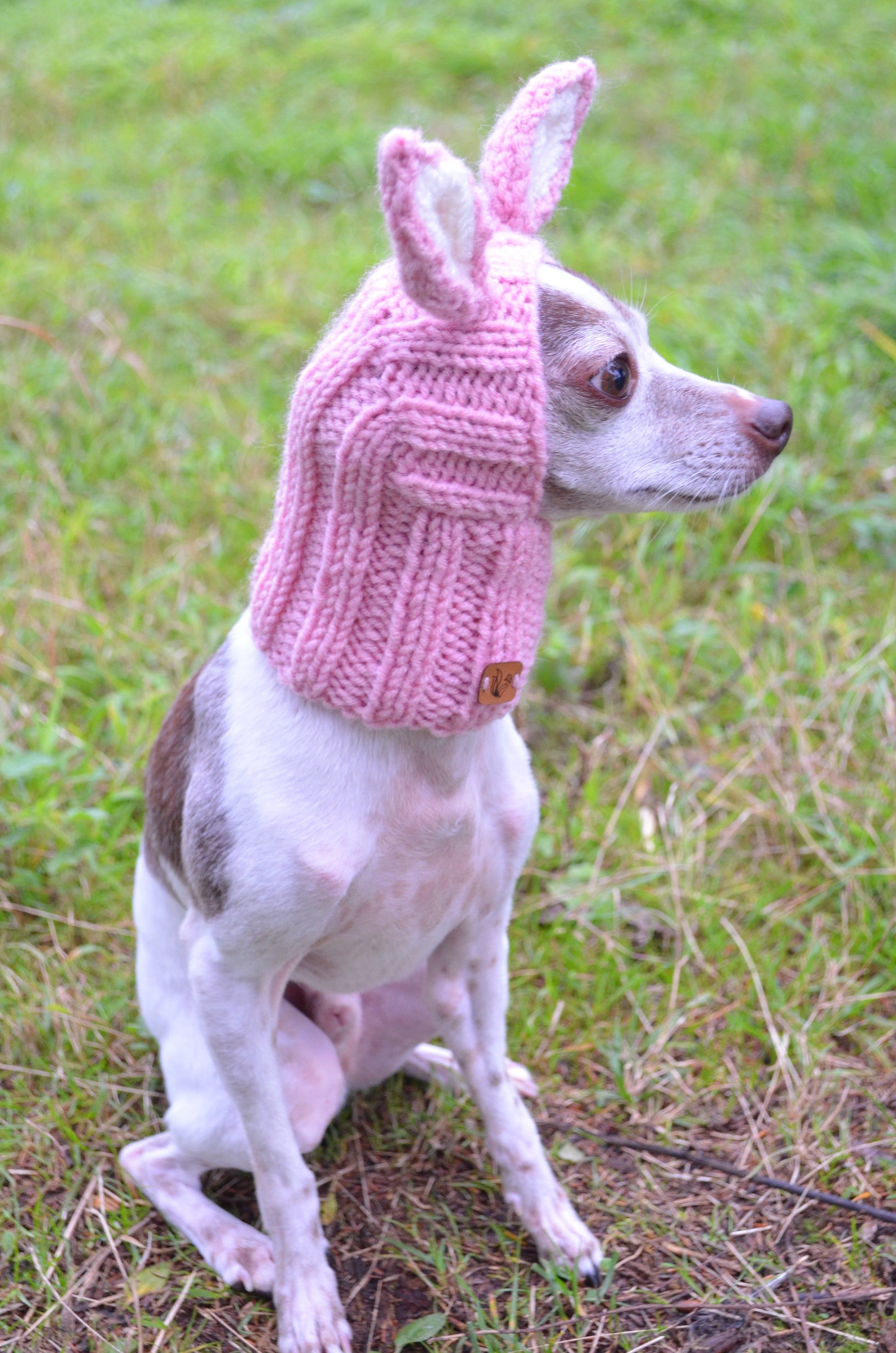 Bunny Dog Hat Rabbit Dog Snood Rabbit Ears Dog Hat Rabbit | Etsy