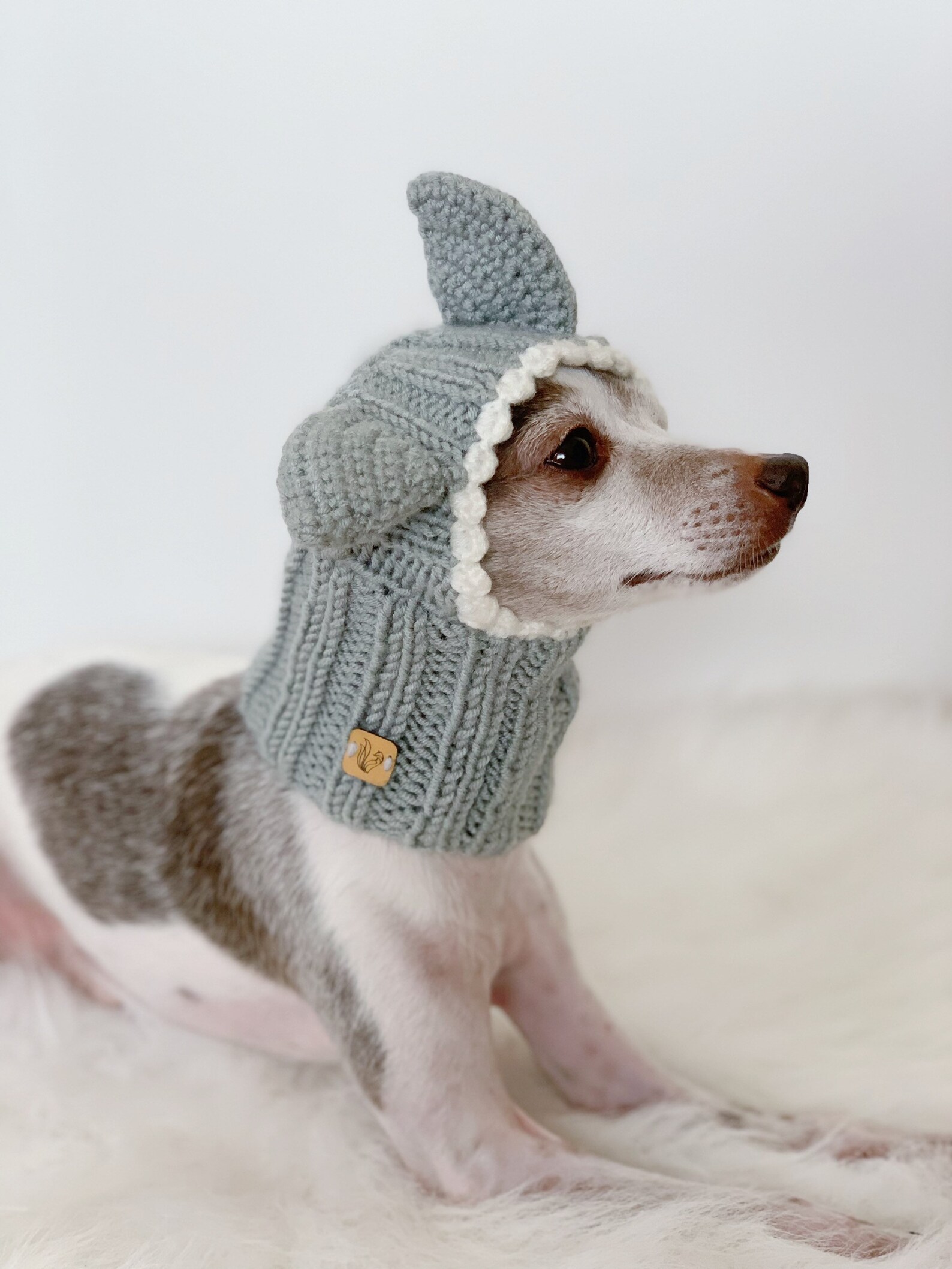 Knit Shark Dog Snood, Gray Pet Beanie, Halloween Costume - Etsy