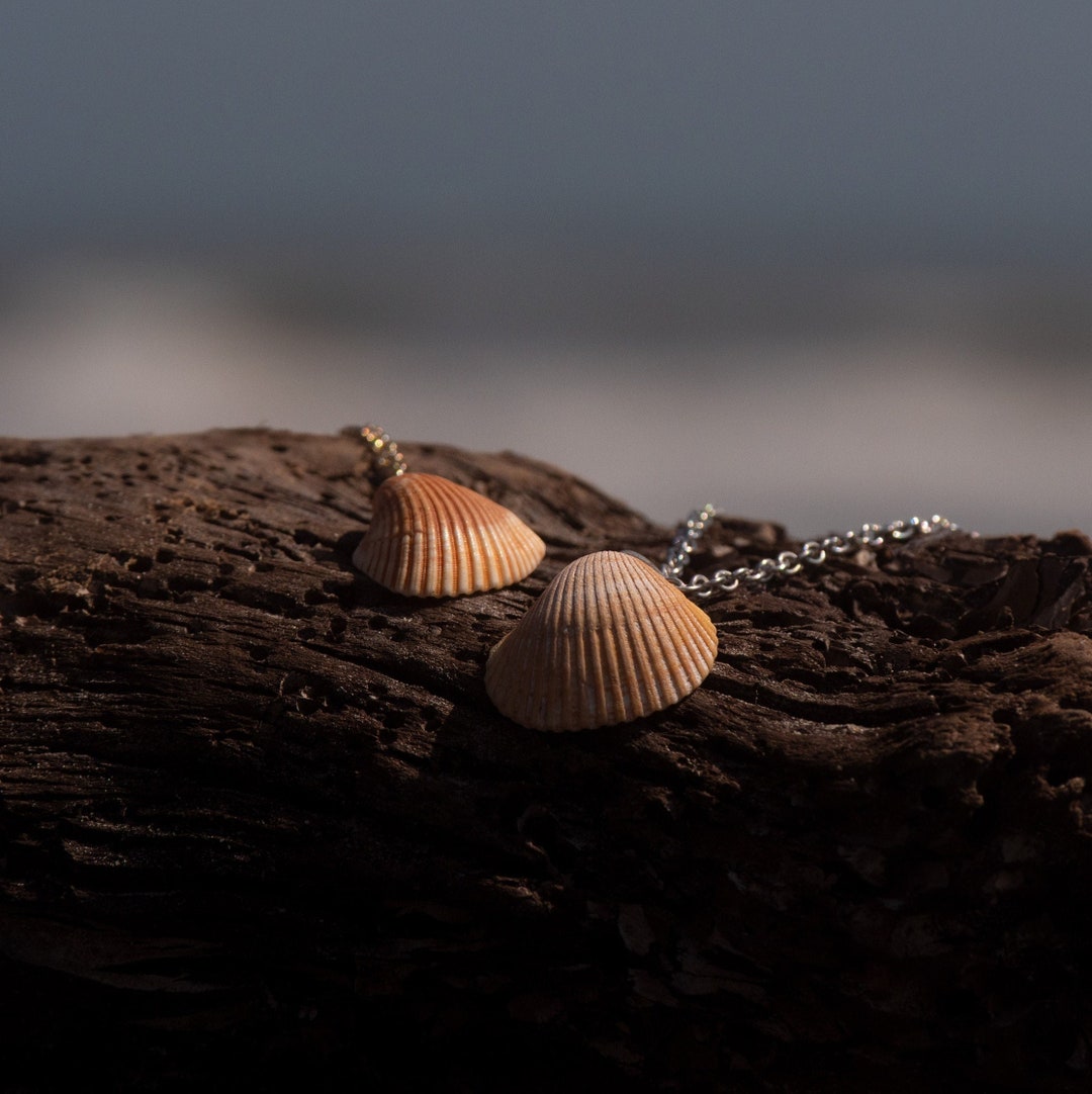 Tiny Orange Shell Necklace Custom Chain - Etsy