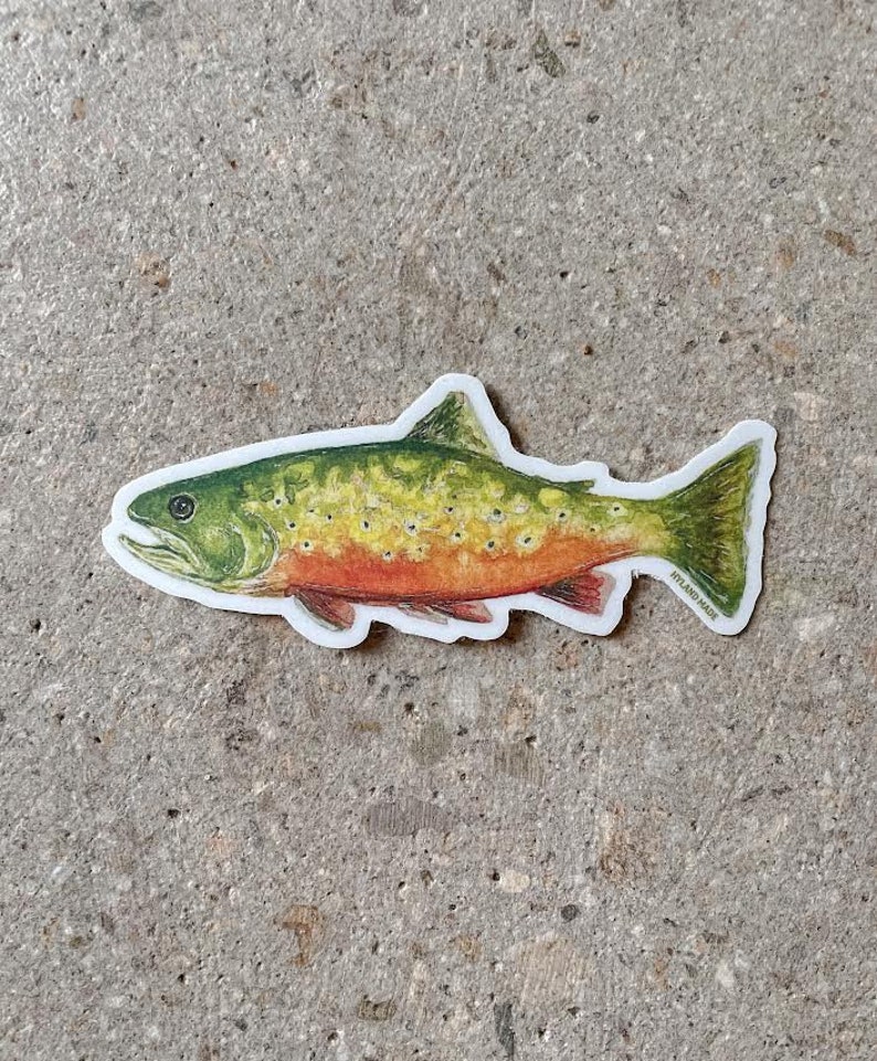 BROOK TROUT STICKER - Etsy