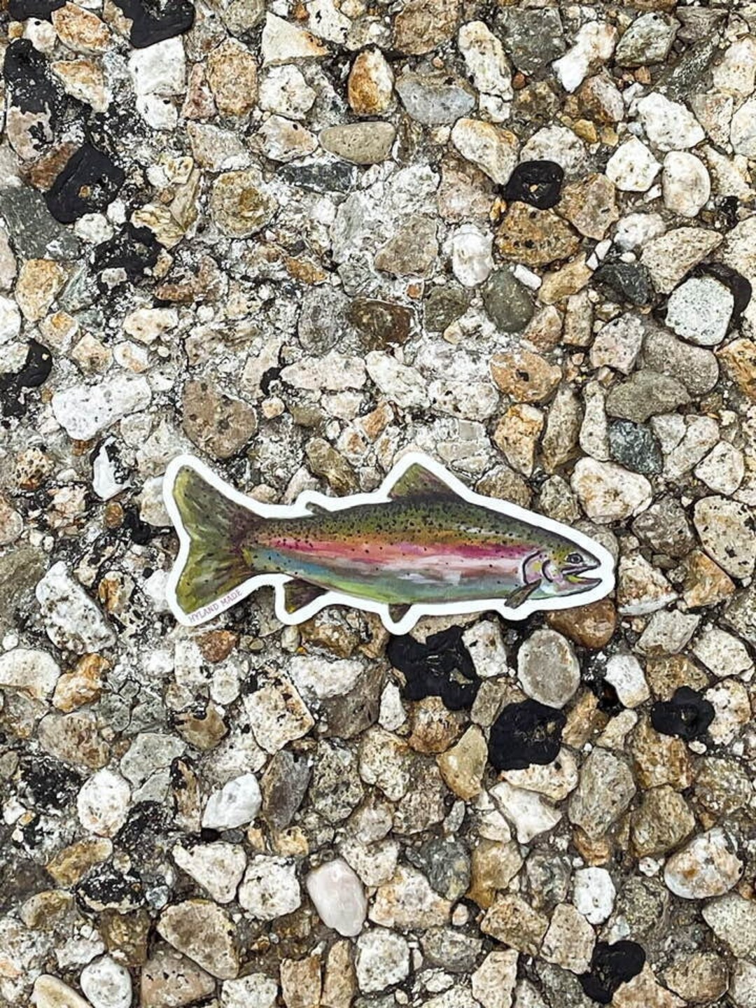 RAINBOW TROUT STICKER - Etsy