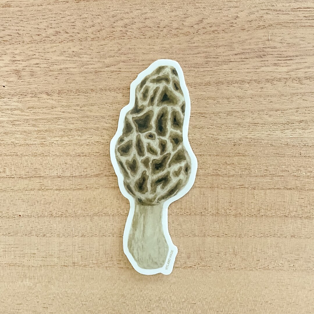 MOREL MUSHROOM STICKER - Etsy