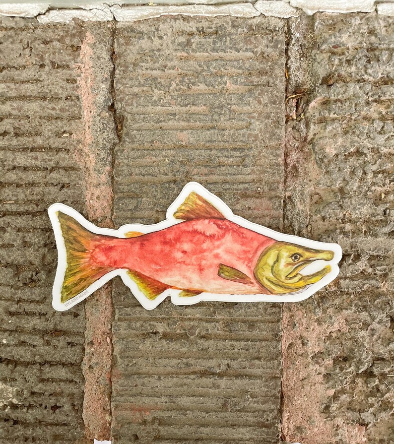 SOCKEYE SALMON STICKER - Etsy