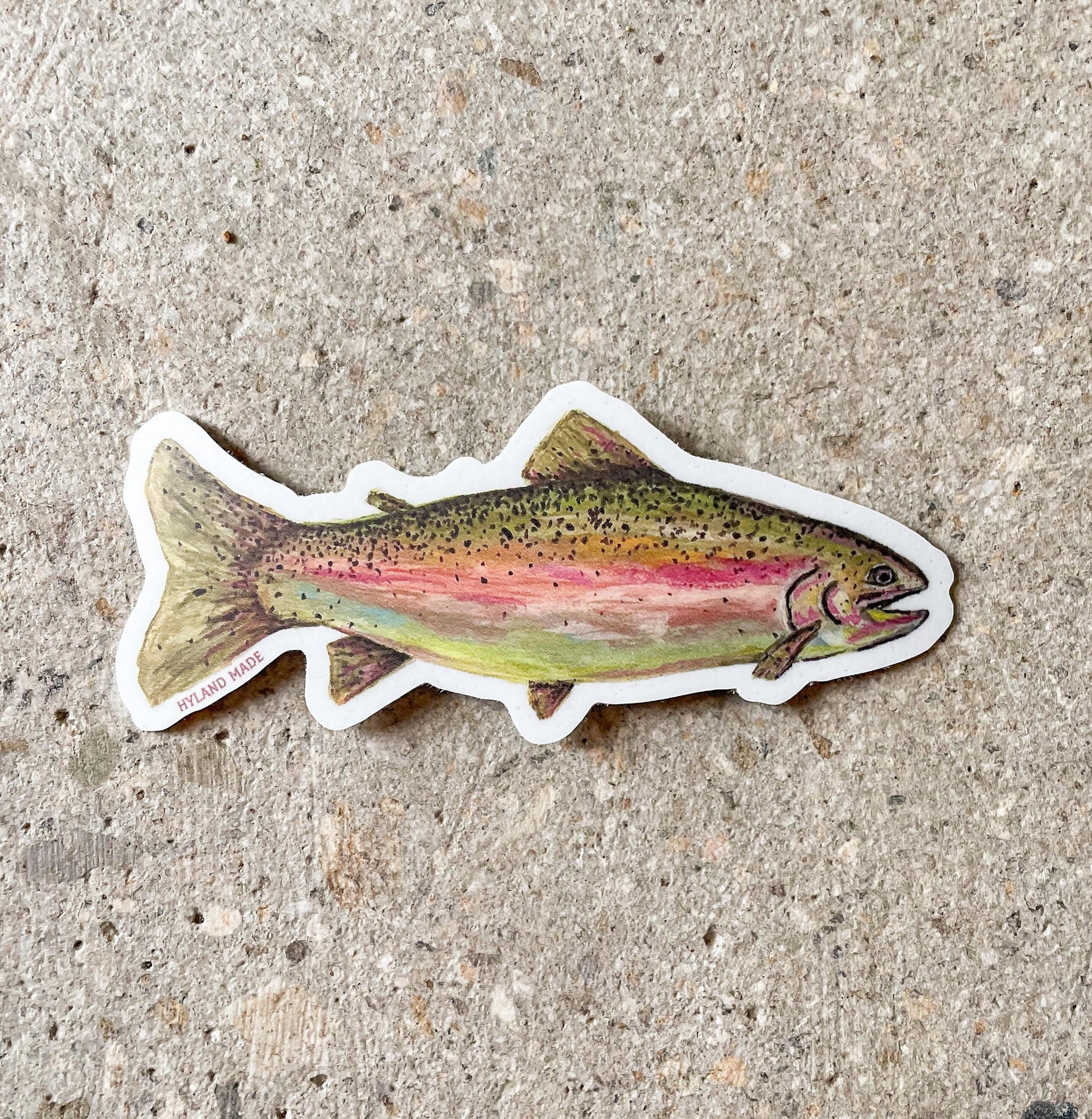 RAINBOW TROUT STICKER - Etsy