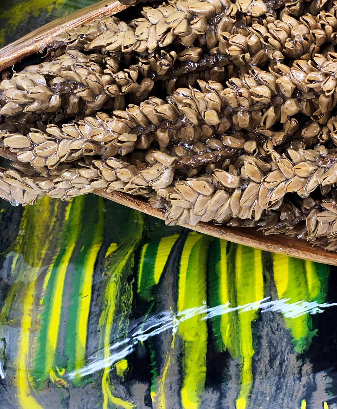 Palm Tree Husk Driftwood and Epoxy Resin Sculpture NAT 001 - Etsy