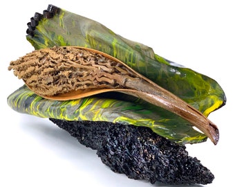 Palm Tree Husk - Etsy