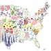 United States State Flower Map - Etsy