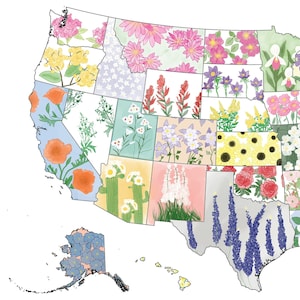United States State Flower Map - Etsy