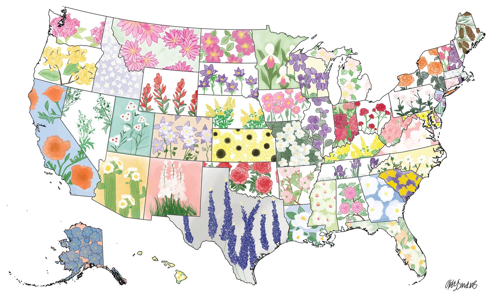 United States State Flower Map - Etsy