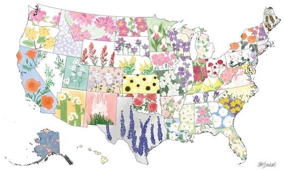 United States State Flower Map | Etsy