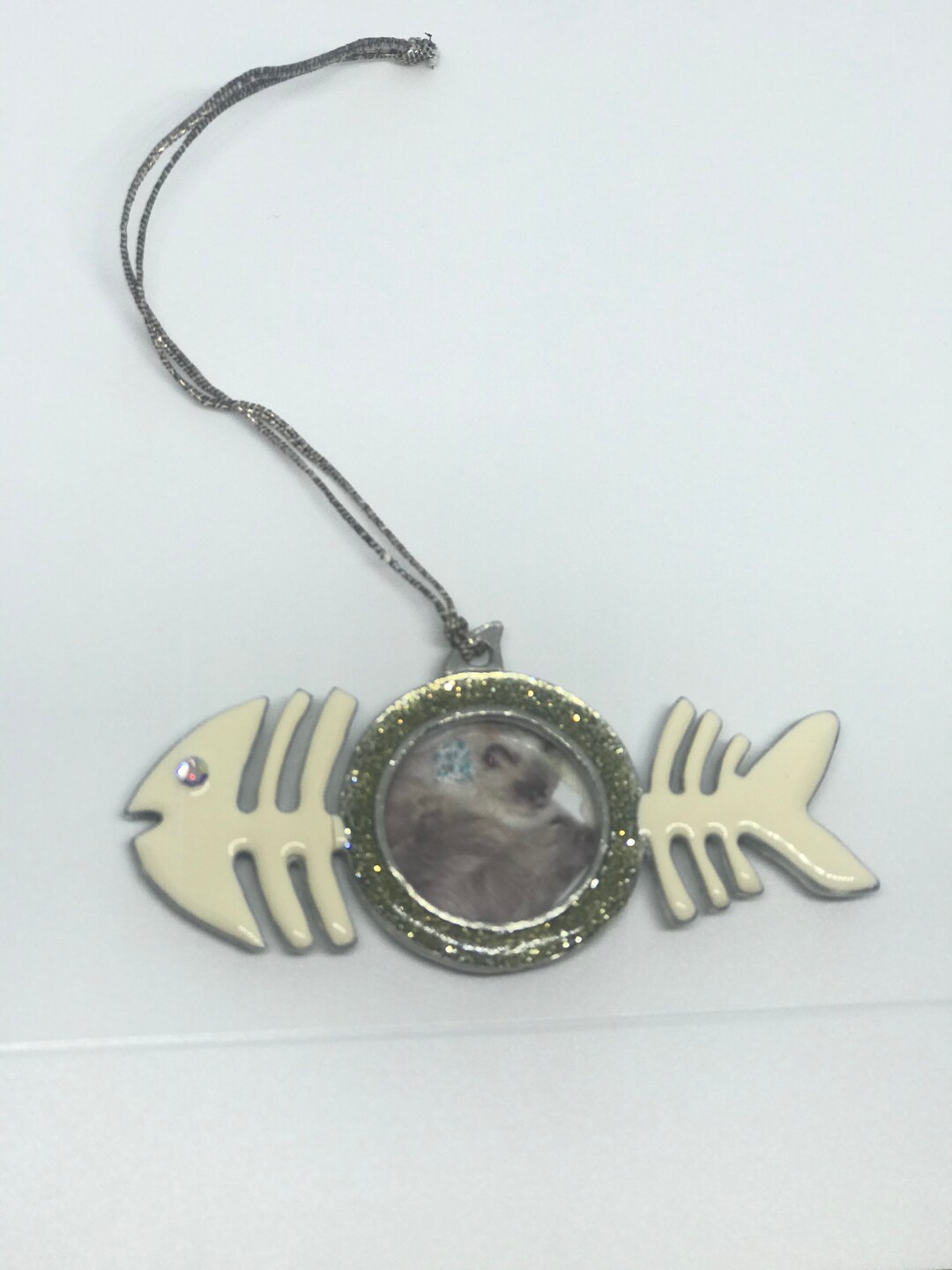 Glitter Bone Fish Picture Frame Ornament - Etsy