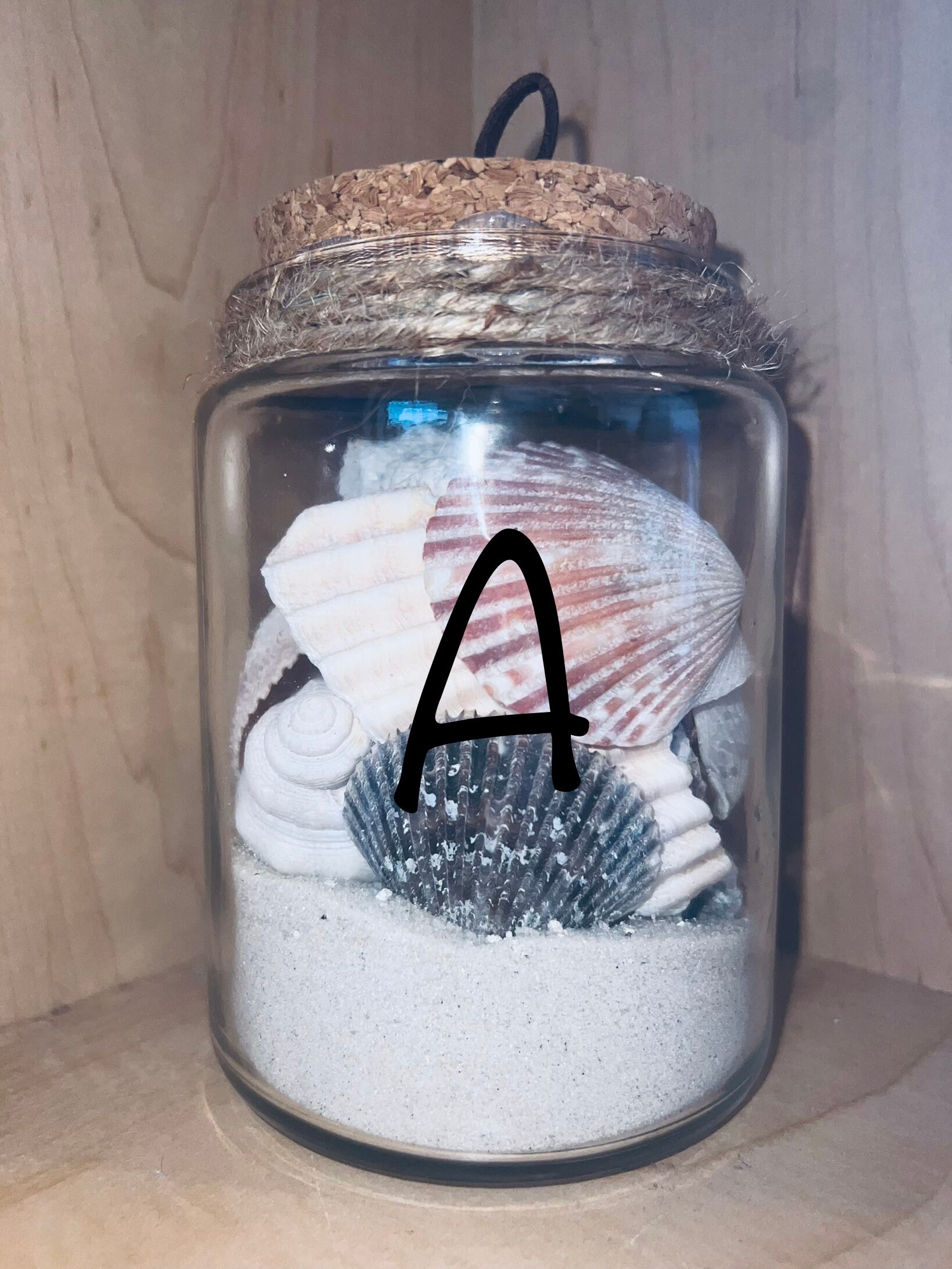 Seashell Jar | Seashells | Beach | Glass | Jar - Etsy
