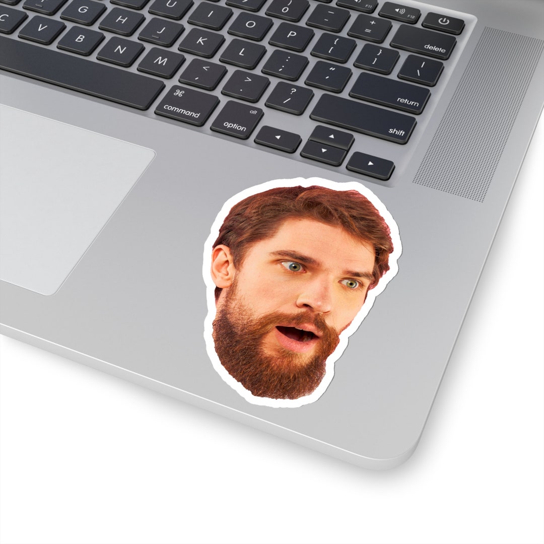 Custom Face Stickers, Custom Photo Stickers, Photo Sticker, Funny ...