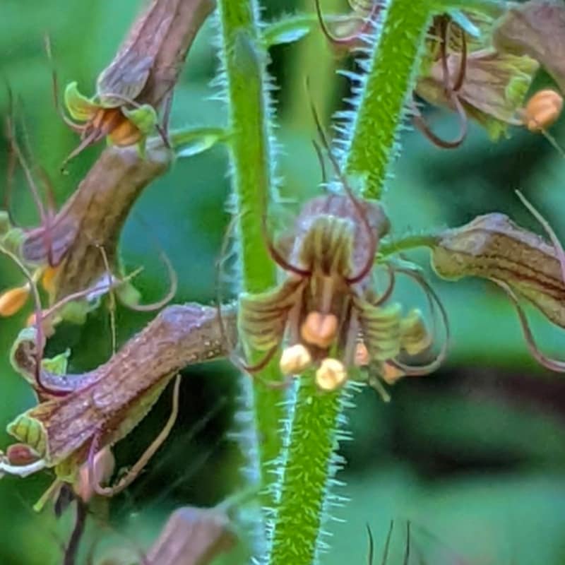 Northwest Tiny Homes - Etsy