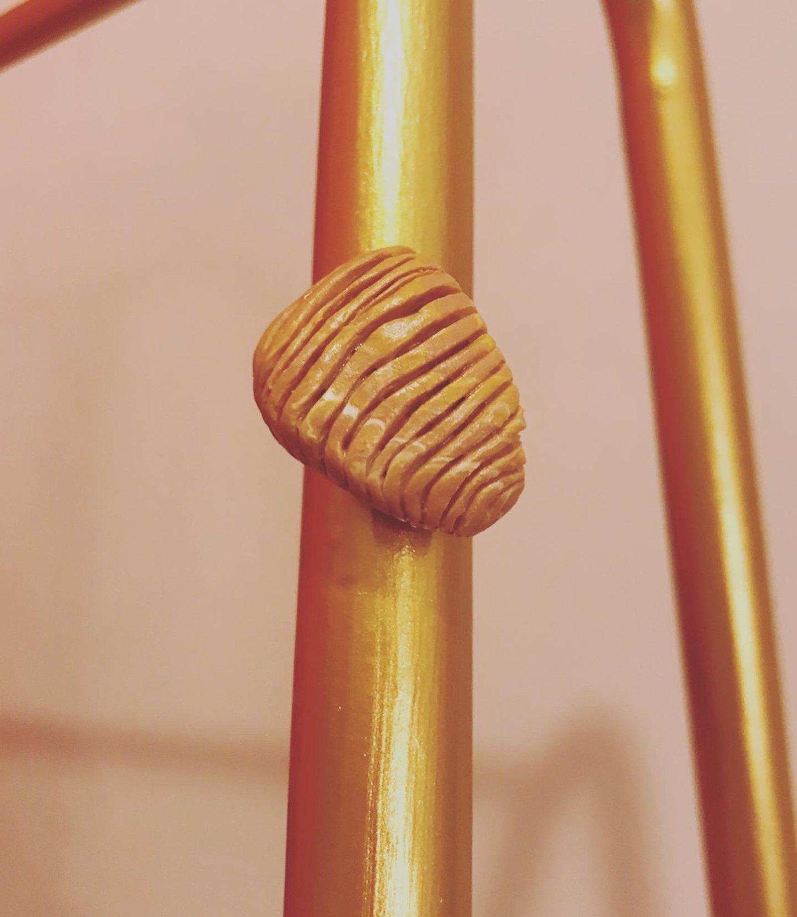 Sfogliatelle Magnet Italian Food Accessories Polymer Clay - Etsy