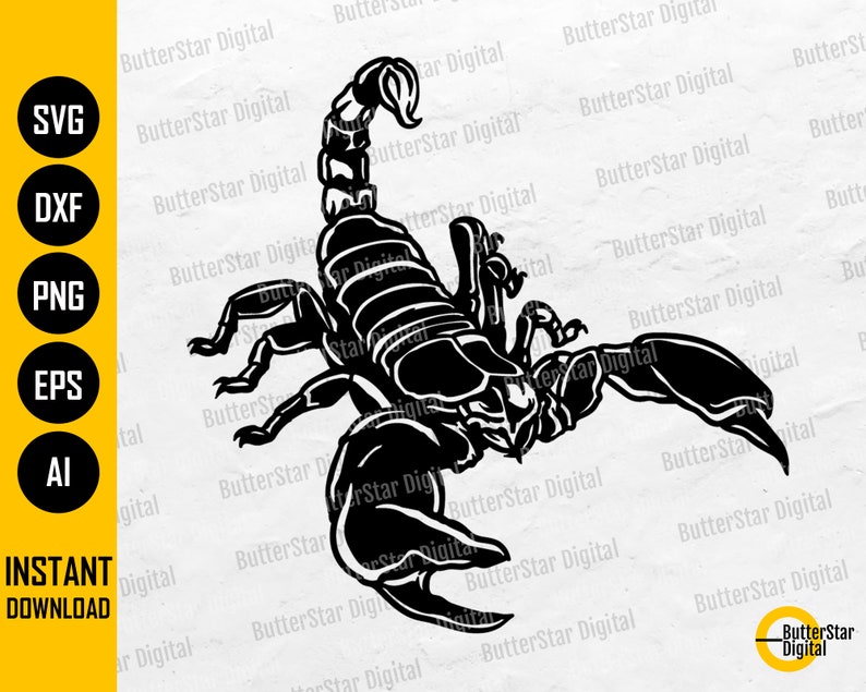 Scorpion SVG Insect SVG Animal SVG Poison Venom Sting - Etsy