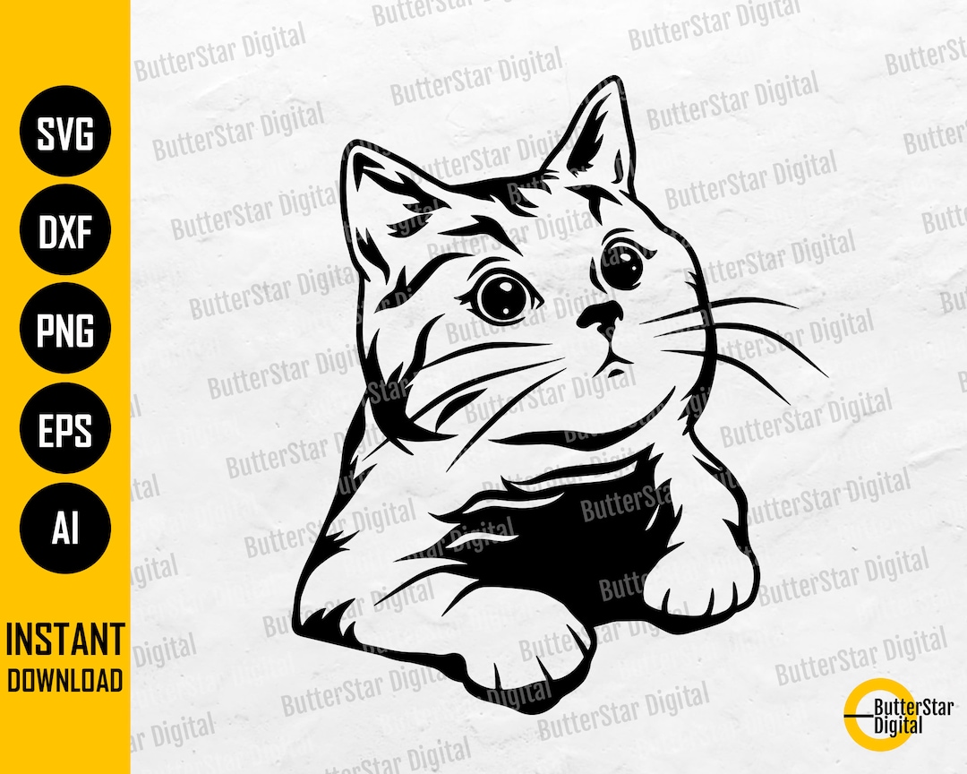 Curious Cat SVG | Wondering Kitten SVG | Peeking Pet Animals SVG | Cute ...