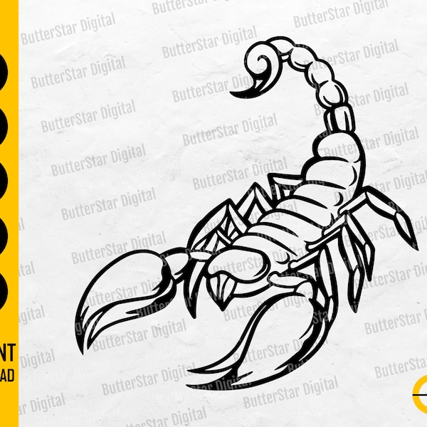 Scorpion - Etsy