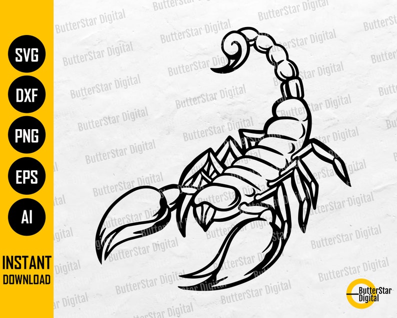 Scorpion SVG Insect SVG Bug Poison Venom Sting Arachnid - Etsy
