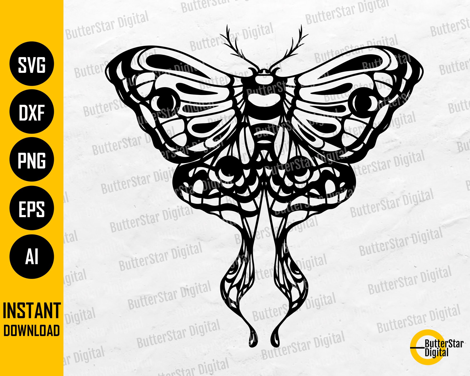 Moth SVG Insect SVG Animal SVG Butterfly Svg Boho Svg - Etsy