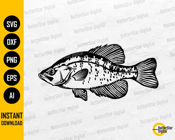 Crappie Fish SVG Panfish Fishing SVG Angling SVG Fish | Etsy