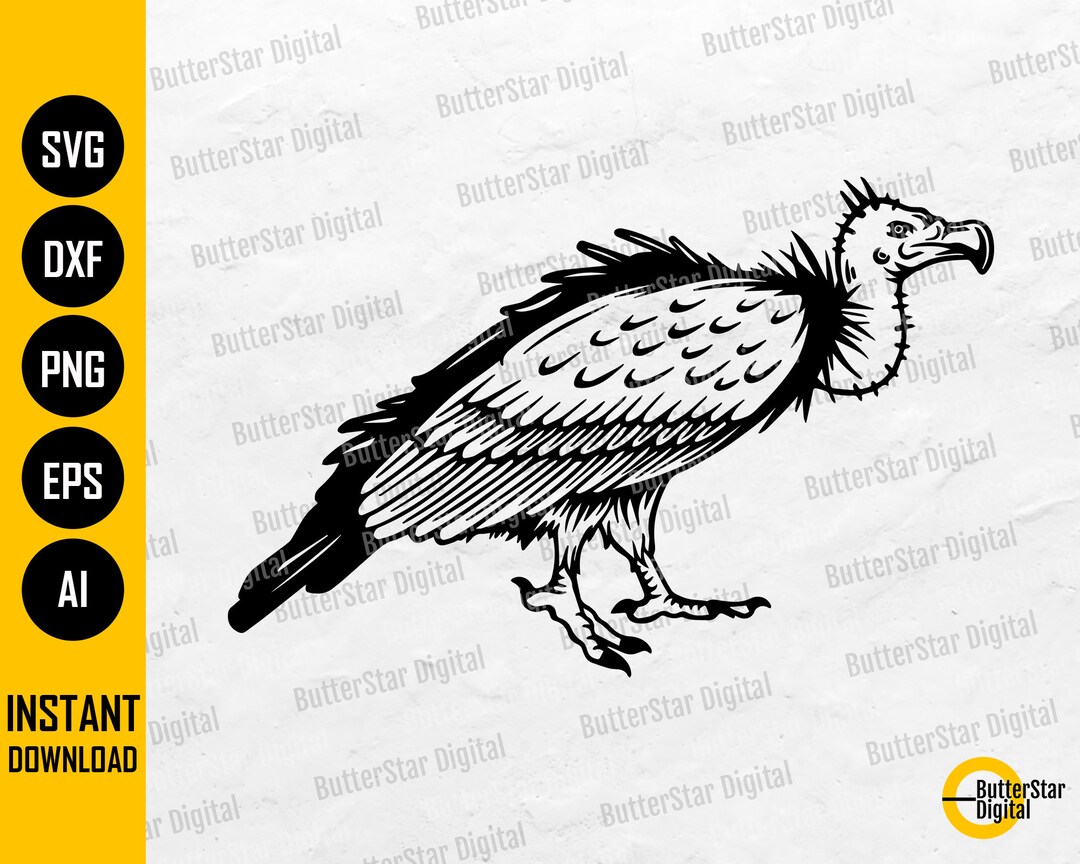 Vulture SVG Scavenger SVG Wild Bird SVG Decals Graphics Cricut Cutting ...