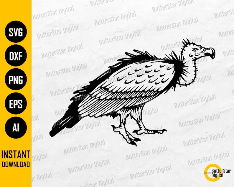Vulture SVG Scavenger SVG Wild Bird SVG Decals Graphics - Etsy