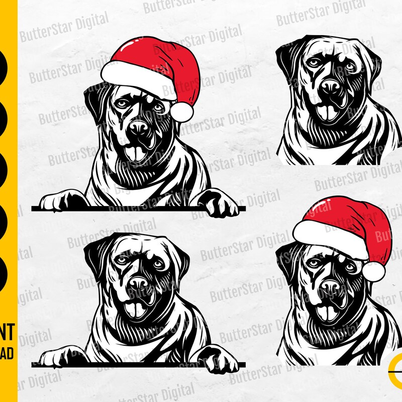 Peeking Lab Svg - Etsy