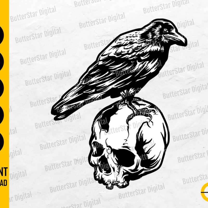 Crow Illustration - Etsy