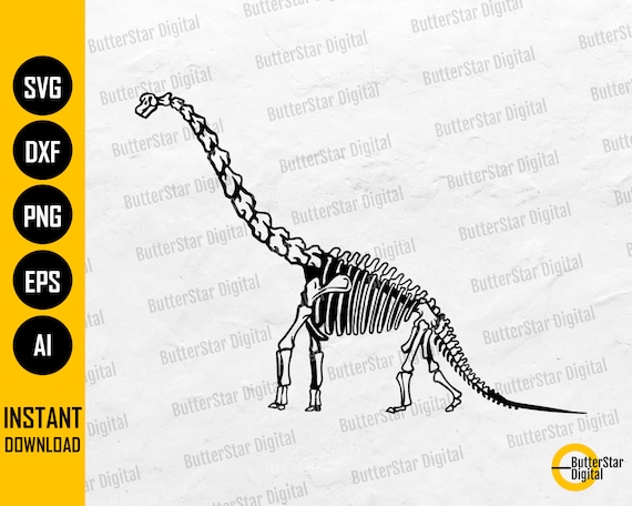 Brachiosaurus Skeleton