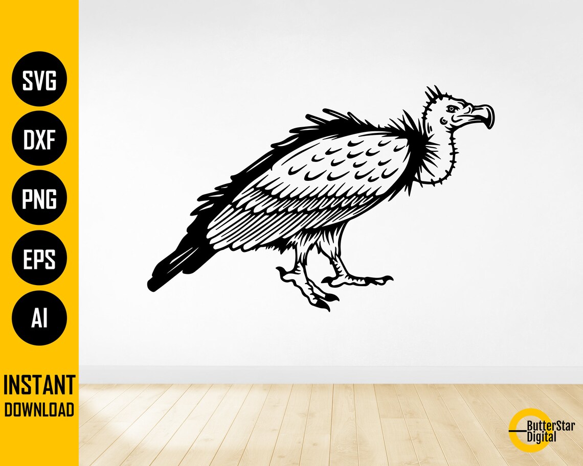 Vulture SVG Scavenger SVG Wild Bird SVG Decals Graphics - Etsy