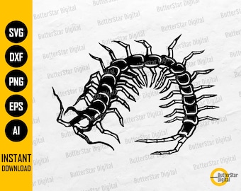 Centipede Stencil - Etsy Canada