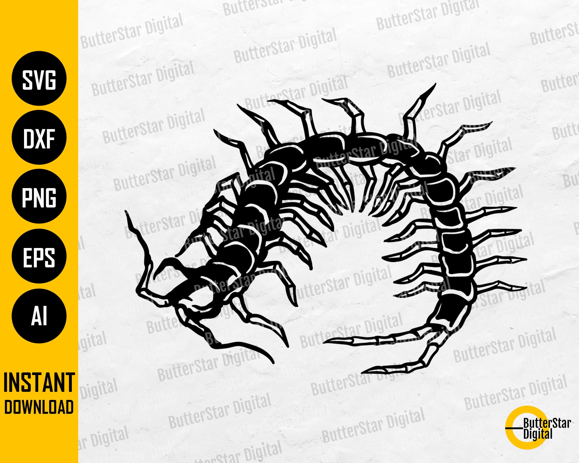 Ciempiés SVG / Insecto SVG / Ilustración Animal Dibujo - Etsy México