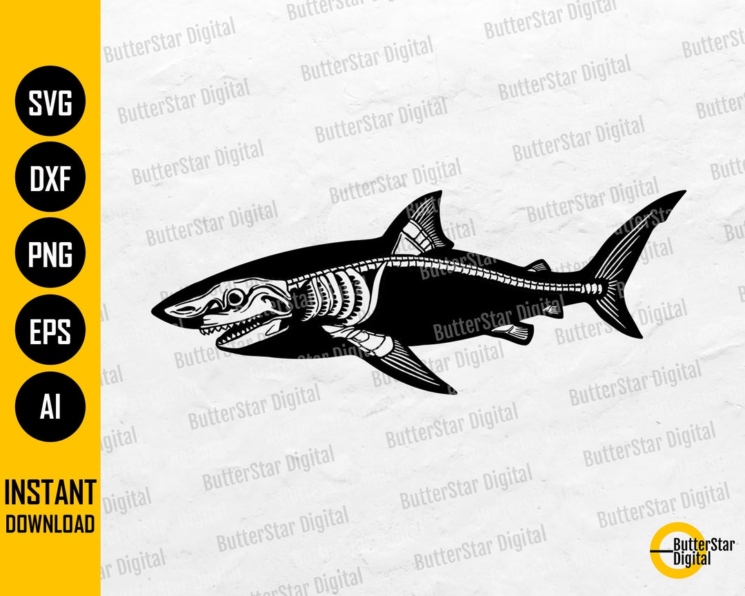 Shark Skeleton SVG | Skeletal Diagram Illustration Drawing | Cricut ...