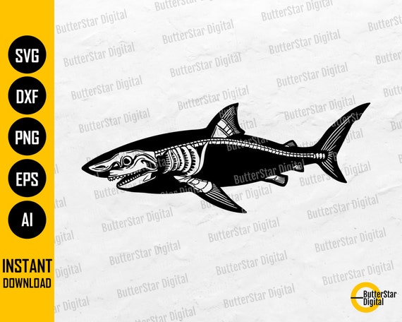 Shark Skeleton Drawing