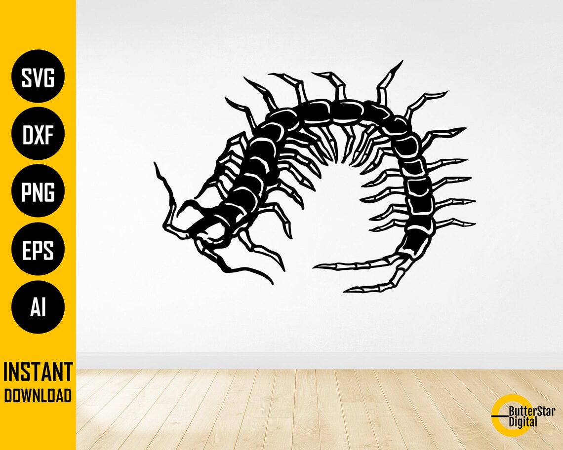 Centipede SVG Insect SVG Animal Illustration Drawing - Etsy