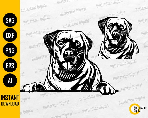 Labrador SVG Dog SVG Labrador Retriever Illustration | Etsy