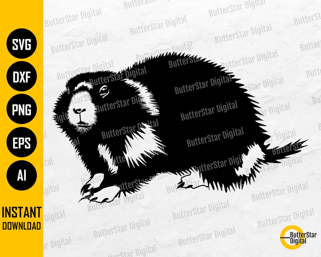 Groundhog SVG | Woodchuck SVG Illustration Graphic Drawing Decal ...